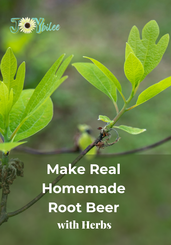 Make Real Homemade Root Beer with Herbs - Joybilee® Farm | DIY | Herbs ...