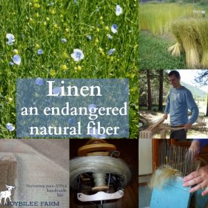 Linen flax, an endangered natural fiber