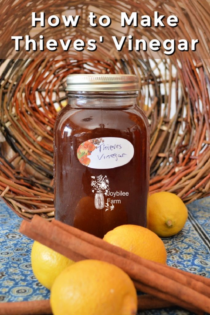 Thieves vinegar recipe