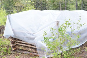 How to Make a Hotbed - Joybilee® Farm | DIY | Herbs | Gardening