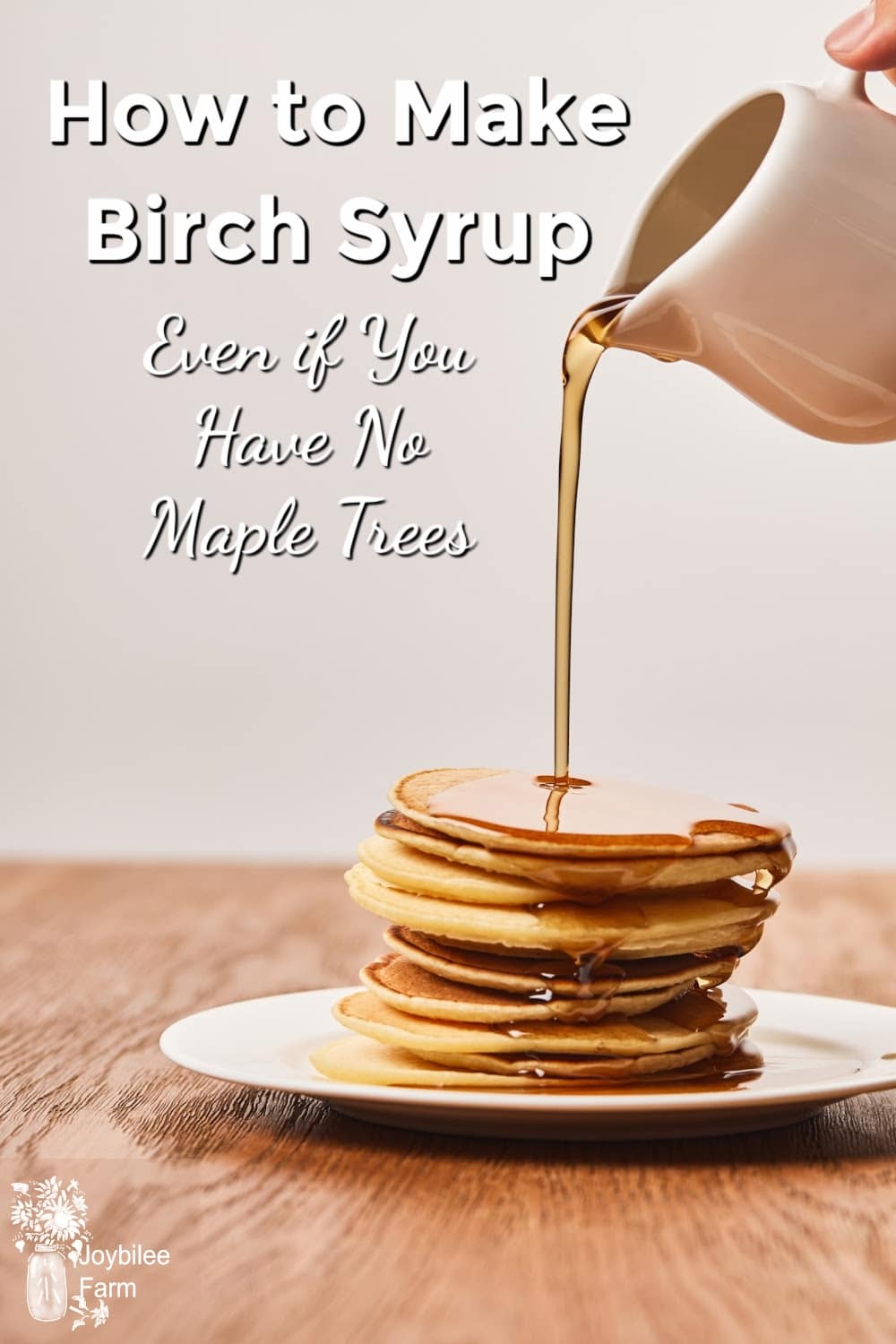 Make Birch Syrup at Home, With This Step By Step Guide