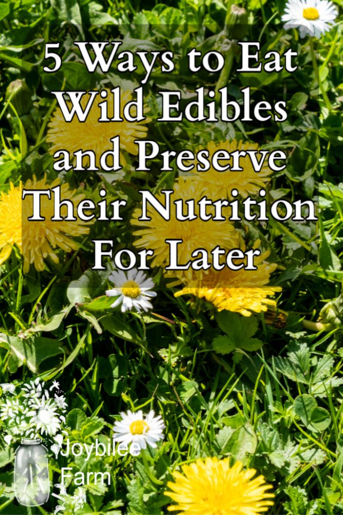 5 Ways to Eat Wild Edibles and Preserve Their Nutrition for Later