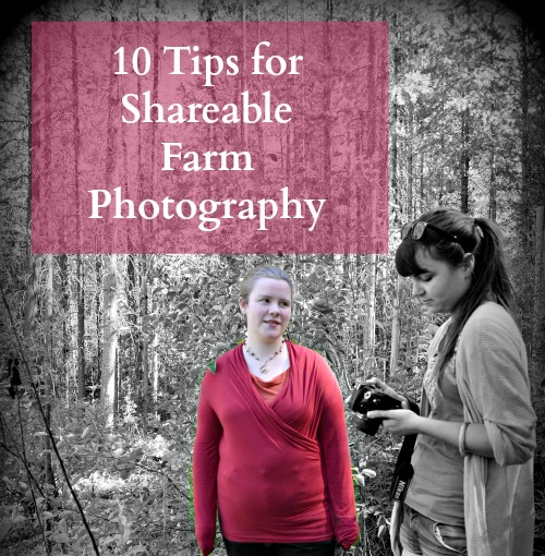 10 Tips for Farm Photographs - Joybilee® Farm | DIY | Herbs | Gardening