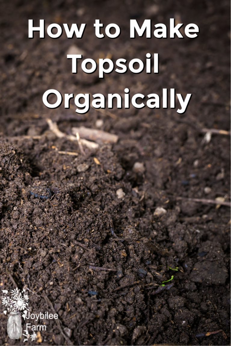 9 Ways to Make More Topsoil Organically - Joybilee® Farm | DIY | Herbs ...