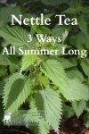 Nettle Tea Three Ways - Joybilee® Farm | DIY | Herbs | Gardening