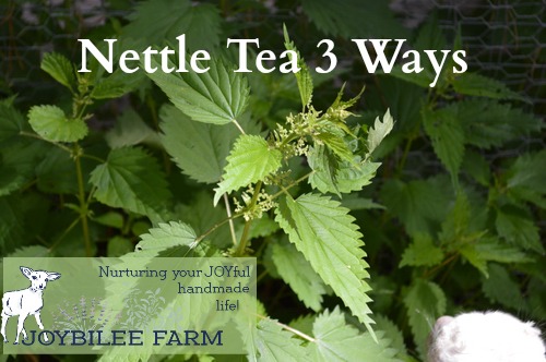 Nettle Tea Three Ways - Joybilee® Farm | DIY | Herbs | Gardening