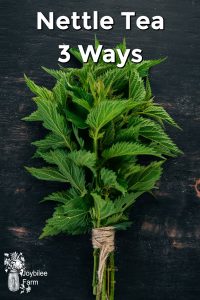 Nettle Tea Three Ways - Joybilee® Farm | DIY | Herbs | Gardening
