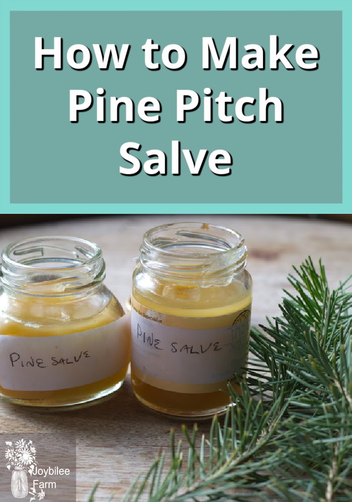 How to Make Pine Pitch Salve on the Homestead - Joybilee® Farm | DIY ...