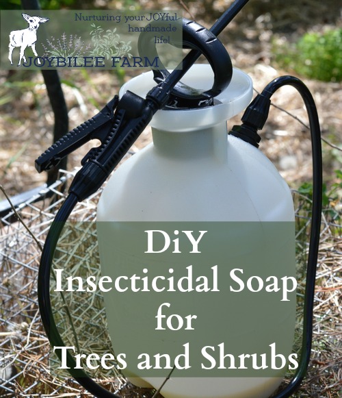 DIY Insecticidal Soap for Trees and Shrubs - Joybilee® Farm | DIY ...