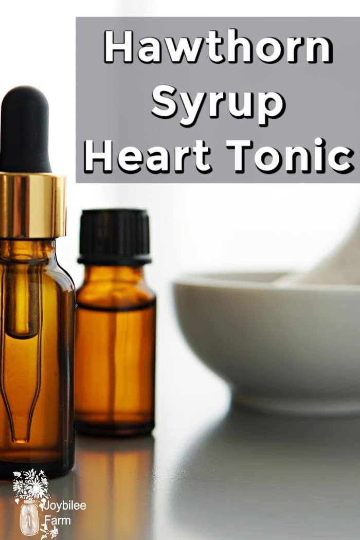 How to Make the Most Effective Hawthorn Berry Syrup Heart Tonic