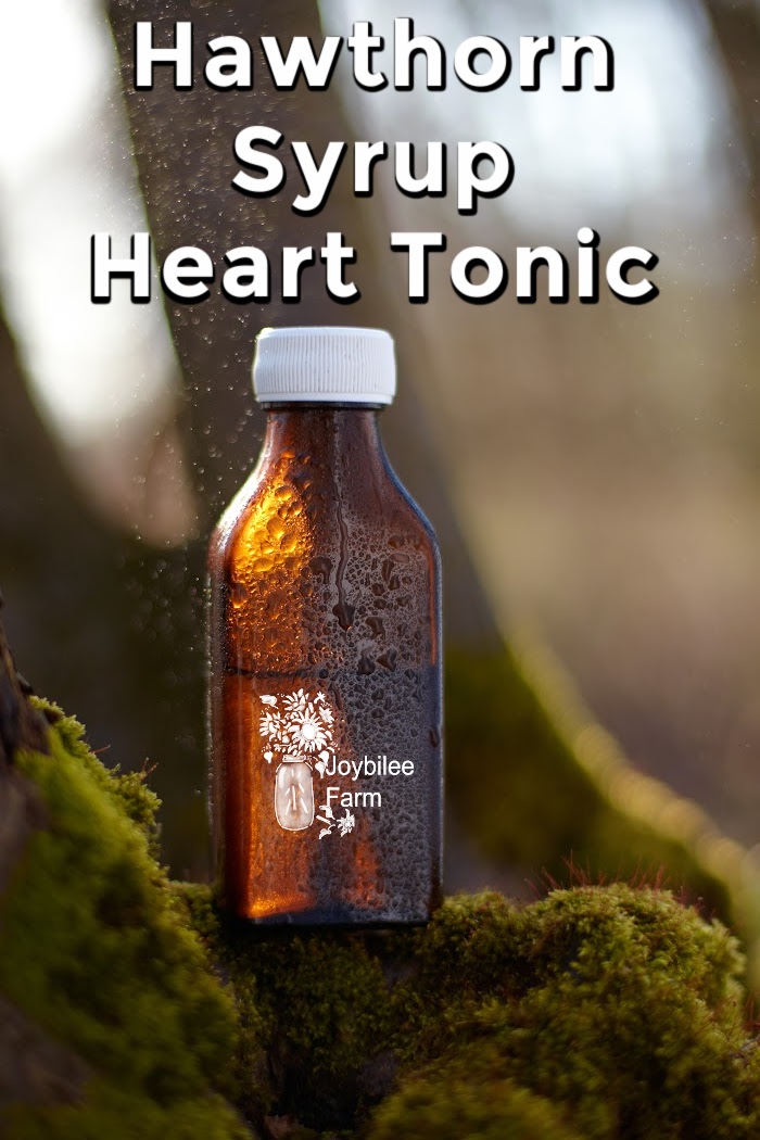 How to Make the Most Effective Hawthorn Berry Syrup Heart Tonic