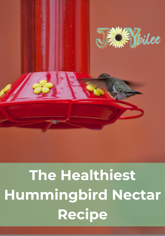 The Healthiest Hummingbird Nectar Recipe