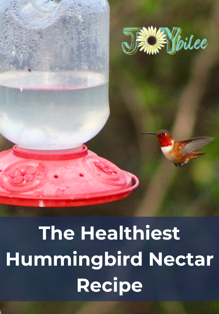 The Healthiest Hummingbird Nectar Recipe