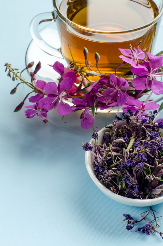 Make Fireweed Tea in 5 Easy Steps - Joybilee® Farm | DIY | Herbs ...