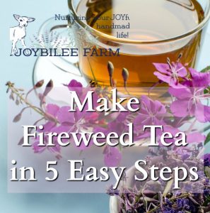 Make Fireweed Tea in 5 Easy Steps - Joybilee® Farm | DIY | Herbs ...