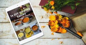 How to Make Pine Pitch Salve on the Homestead - Joybilee® Farm | DIY ...