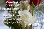 Create 4 DIY Floral Arrangements From a Single Rose Bouquet