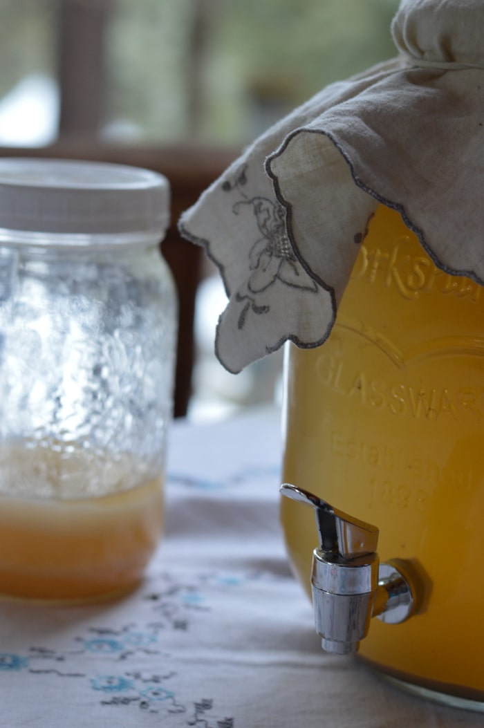 Easy to Make Continuous Brew Kombucha Tea for Full Spectrum Benefits ...