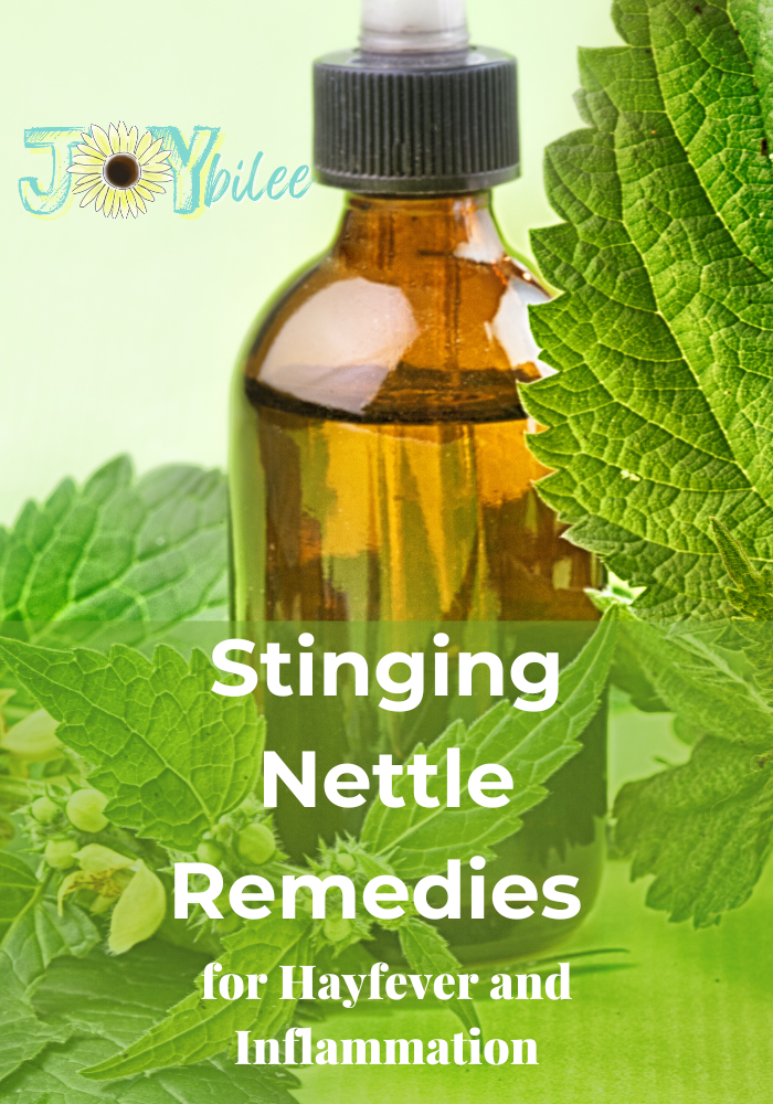 Stinging Nettle Remedies for Hayfever and Inflammation