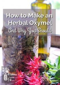 How to Make an Herbal Oxymel and Why You Should - Joybilee® Farm | DIY ...