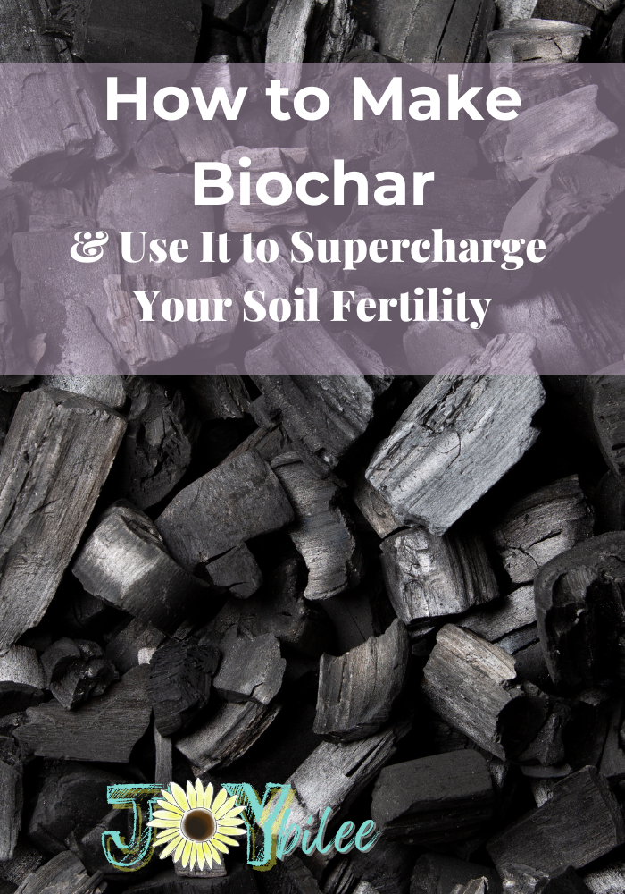 How to Make Biochar and Use It to Supercharge Your Soil Fertility