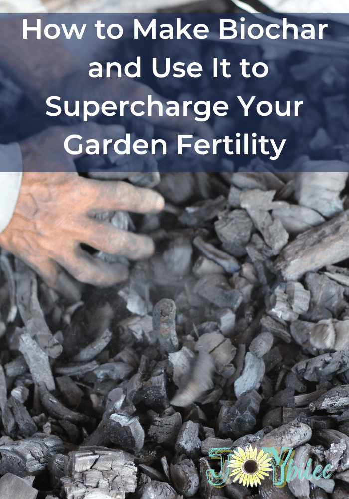 How to Make Biochar and Use It to Supercharge Your Soil Fertility