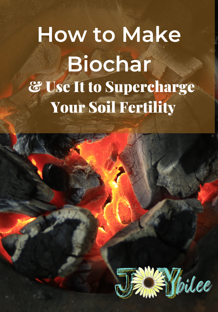 How to Make Biochar and Use It to Supercharge Your Soil Fertility