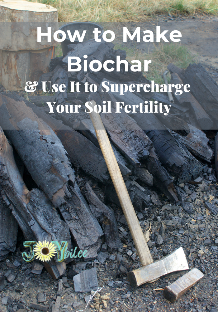 How to Make Biochar and Use It to Supercharge Your Soil Fertility