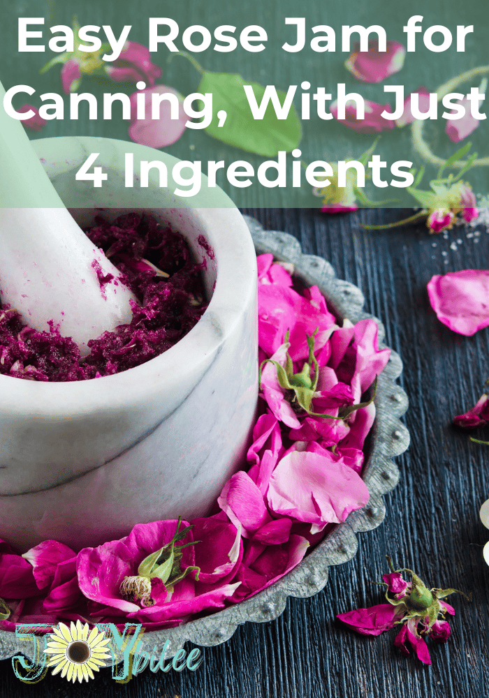 Easy Rose Jam for Canning, With Just 4 Ingredients
