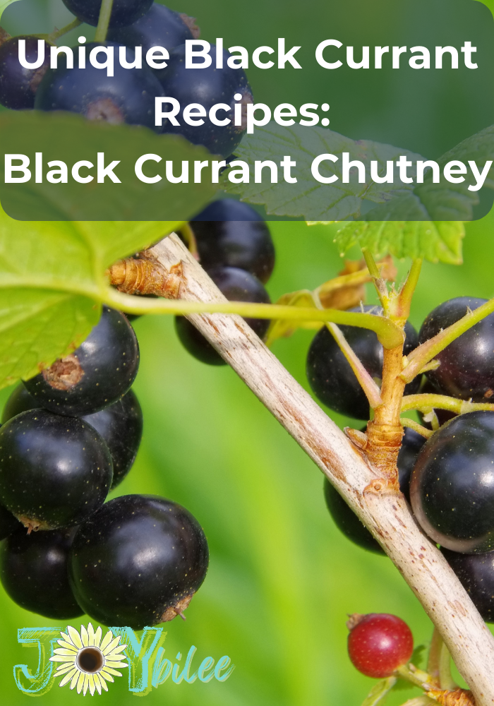 Unique Black Currant Recipes: Black Currant Chutney