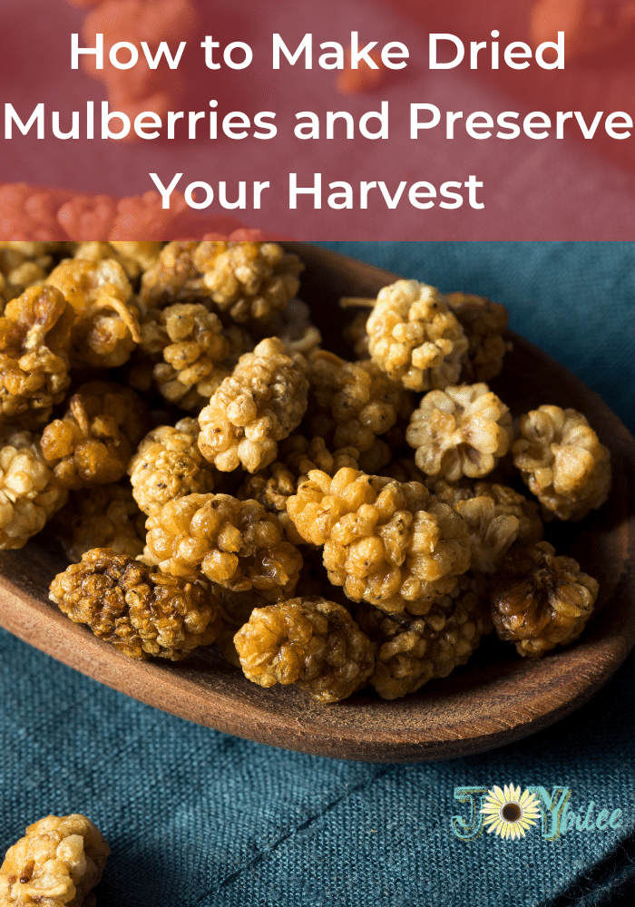 How to Make Dried Mulberries and Preserve Your Harvest - Joybilee® Farm ...