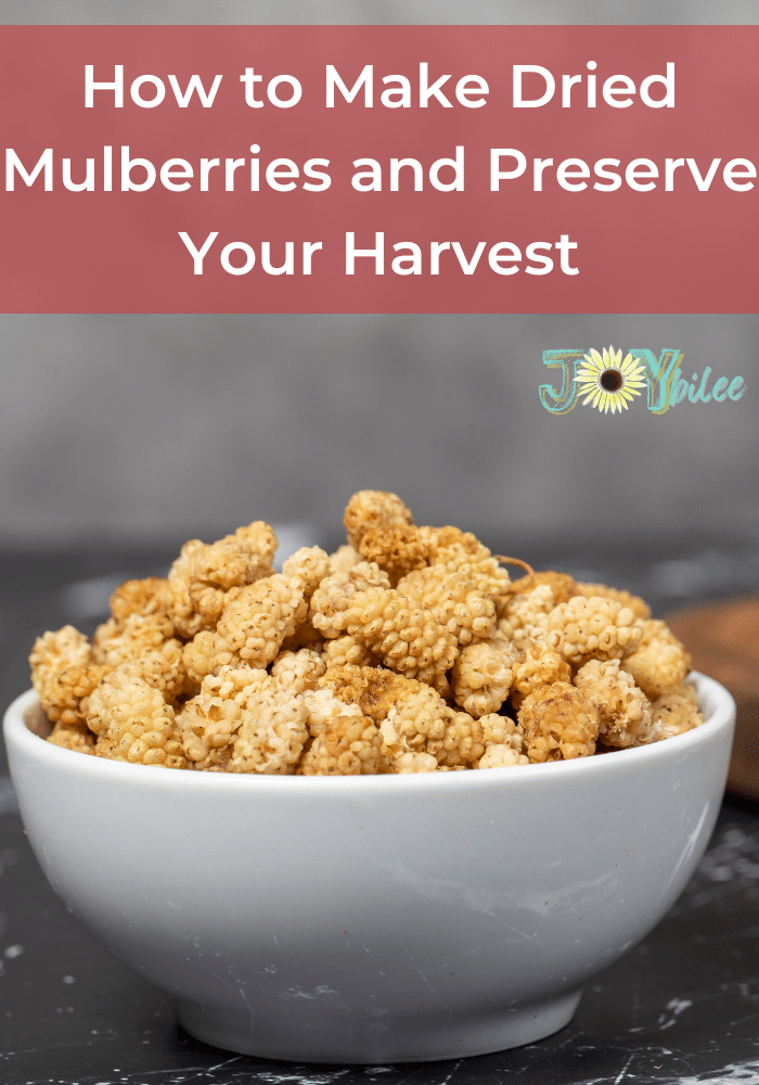 How to Make Dried Mulberries and Preserve Your Harvest - Joybilee® Farm ...